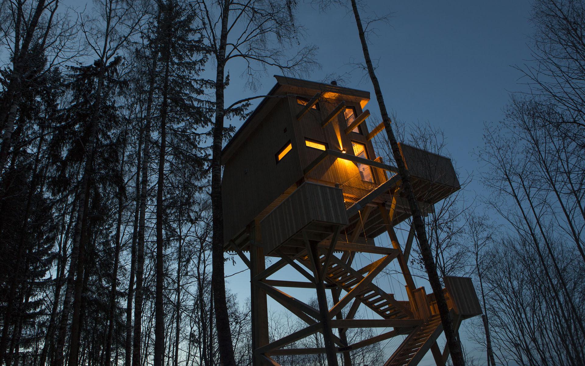 With Q-Tee in the treetops…